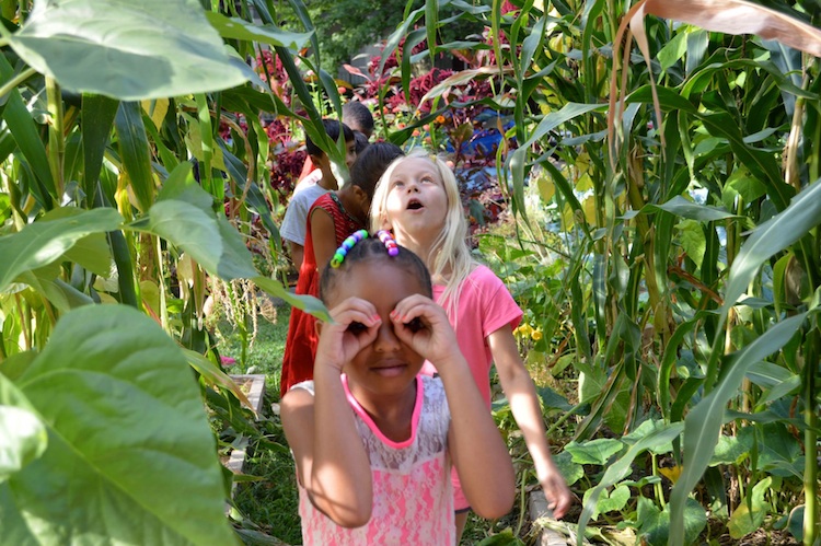 8 great places for families to volunteer with kids | Pittsburgh is ...