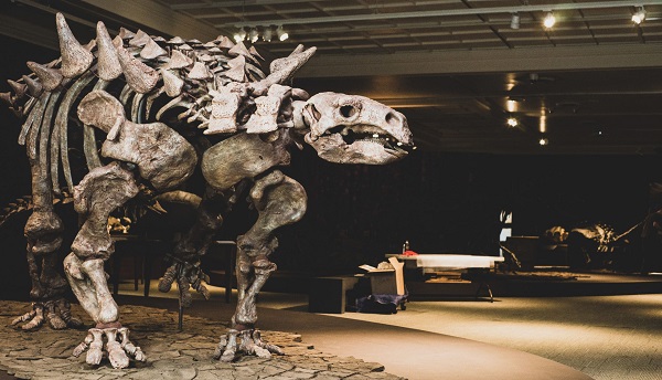 11 things to do with kids this week in Pittsburgh, from dinosaurs to ...