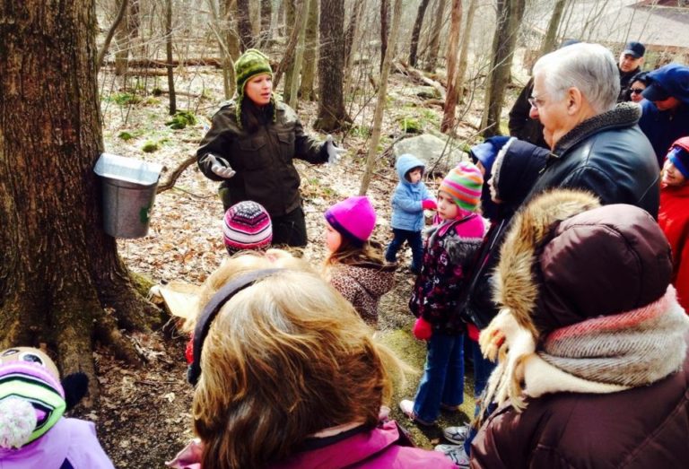Sweet: 8 maple syrup events for Pittsburgh-area families in March and ...