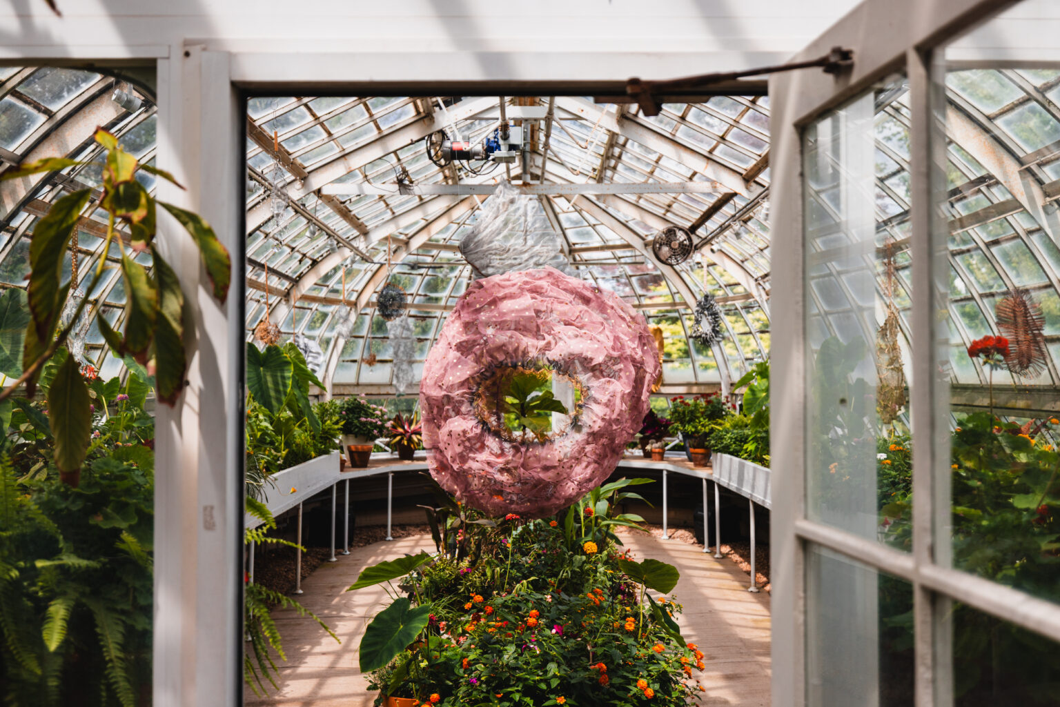 Catching Sunbeams from the Porch Swing of Wisteria Castle — Kidsburgh