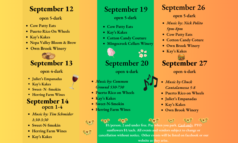 Sunflower Dayze at Reskovac Farms — Kidsburgh